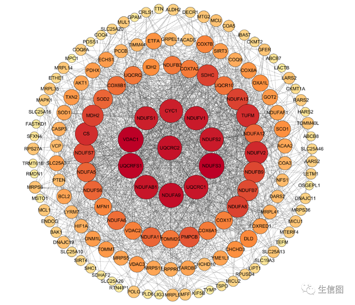 【手把手教你】Cytoscape—基因互作网络图的保姆级讲解 - 知乎