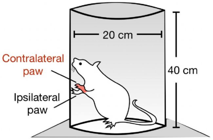 5分钟学会圆筒实验（cylinder test） - 知乎