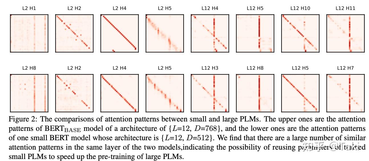 Progressive Learning for PLM - 知乎