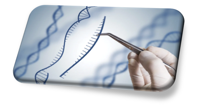 Geneious Prime Version2023.2 更新！ - 知乎