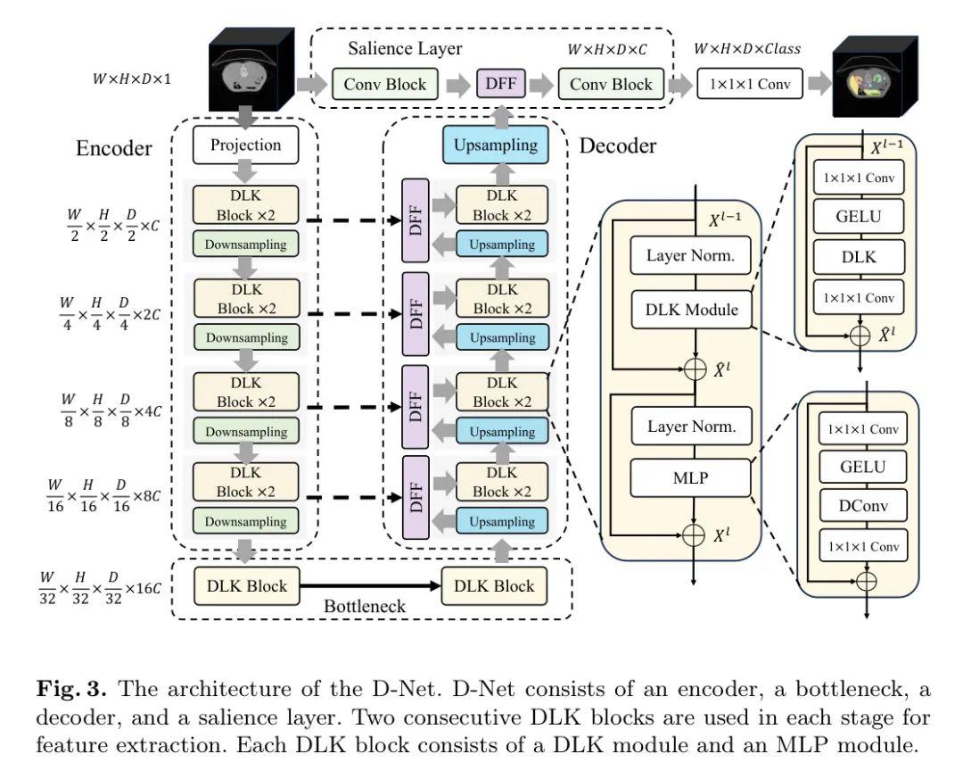 复旦大学提出D-Net：Transformer中融合动态大卷积核&动态特征融合模块，让分割效果骤升 - 知乎