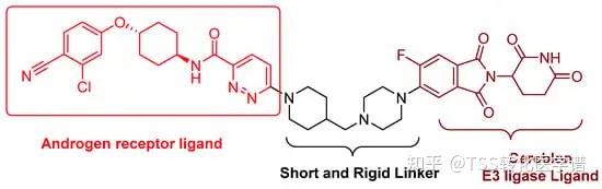 PROTAC降解雄激素受体(AR)治疗前列腺癌耐药的进展 - 知乎