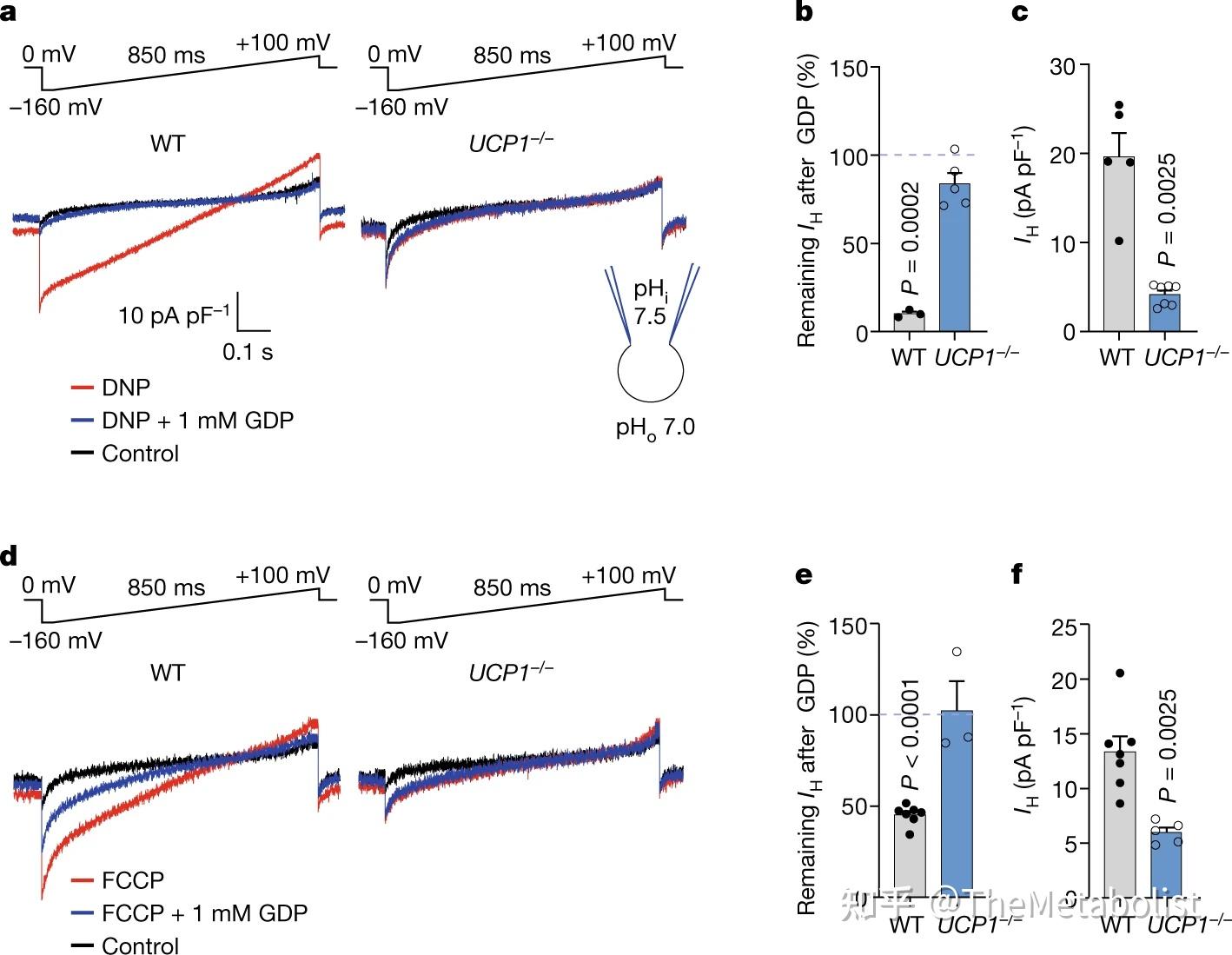 代谢学人--Nature：U，执行A计划！线粒体UCP1/AAC机制大揭秘 - 知乎