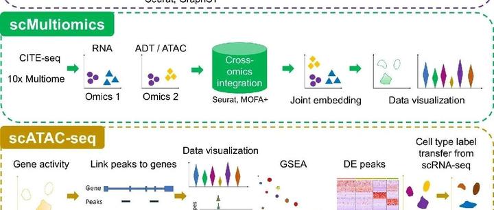 ezSingleCell：一站式单细胞和空间 omics 分析平台 - 知乎