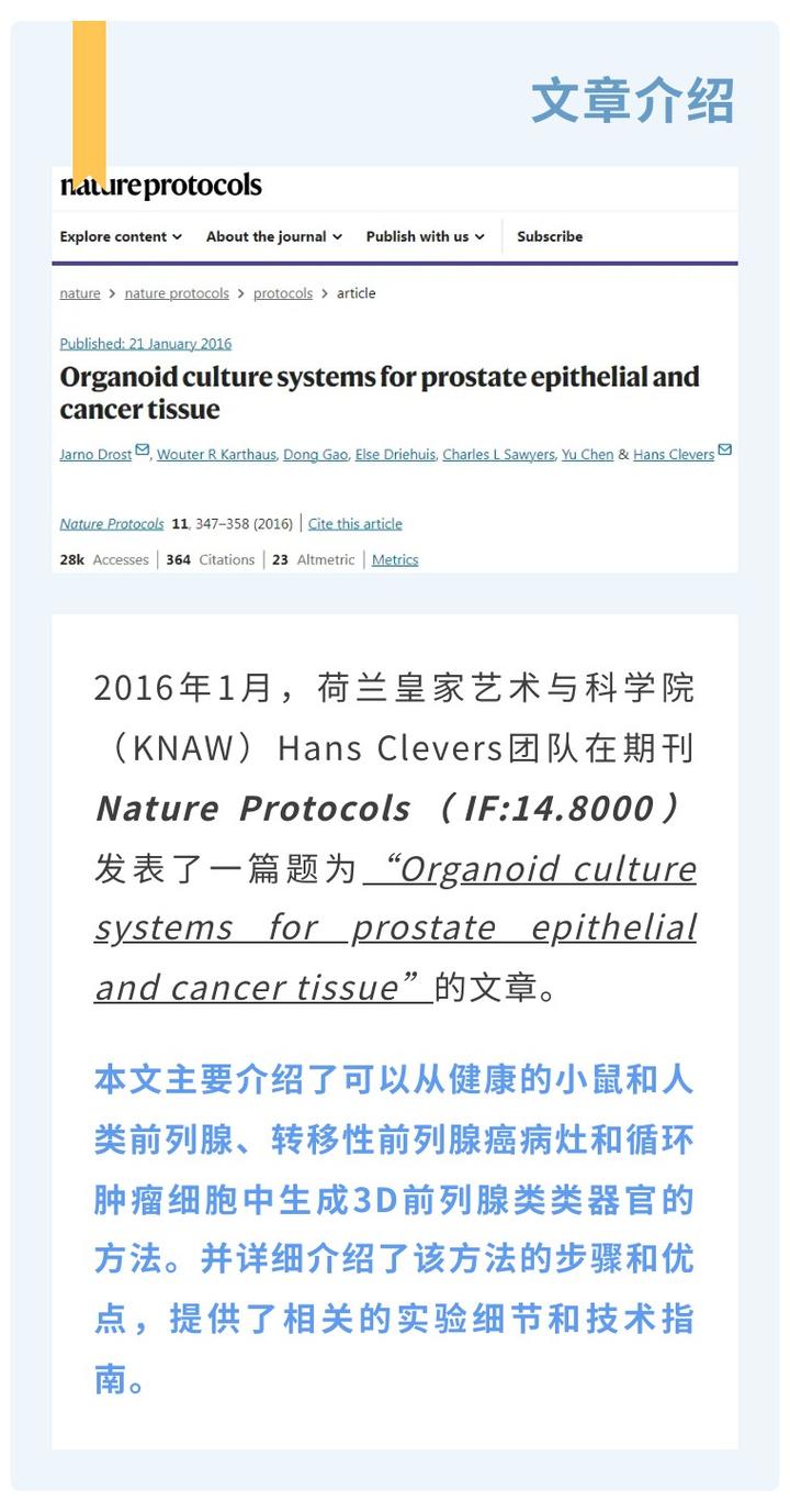 Nature Protocols：前列腺上皮和癌组织的类器官培养系统（下） - 知乎