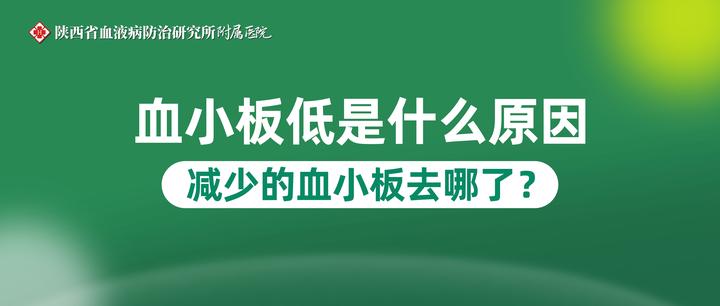 血小板低是什么原因?减少的血小板去哪了? 知乎