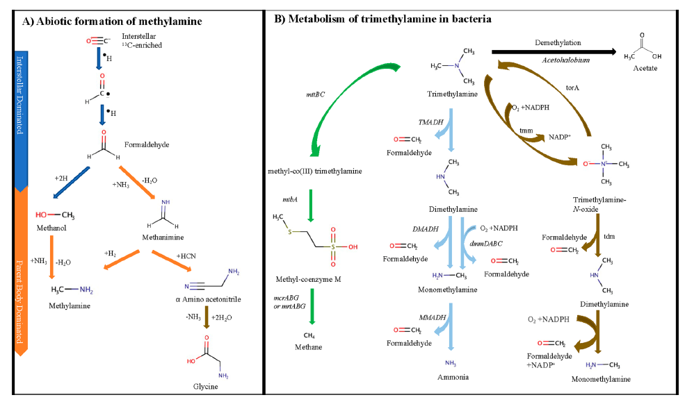 文献分享丨JPR三甲胺和氧化三甲胺的生物学功能追溯 - 知乎