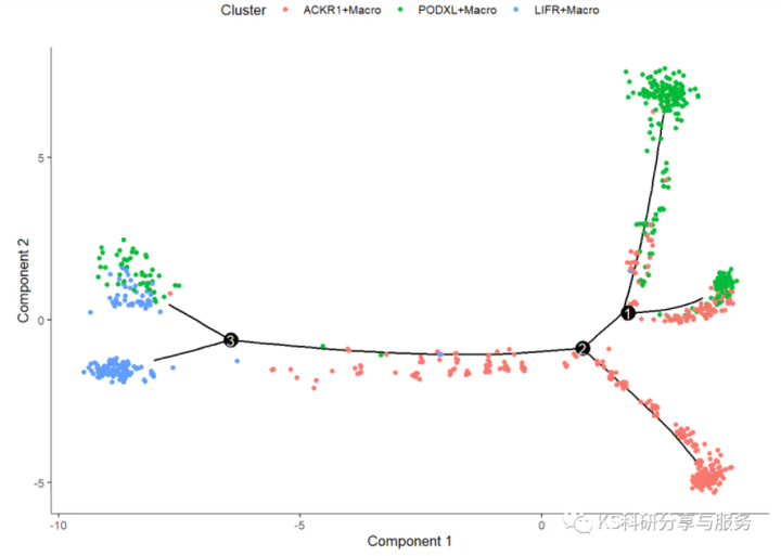 跟着Cell学单细胞转录组分析(九):Monocle2拟时分析演示（上） - 知乎