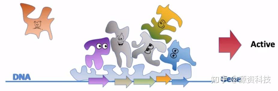 从一团乱麻中梳理生命的乐章-使用TRANSFAC数据库查找Composite Module - 知乎