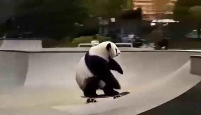 王炸组合，阶跃星辰SOTA模型Step-Video和Step-Audio模型开源 - 知乎