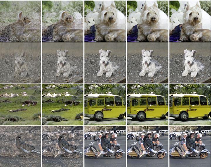 Flow Matching相关原理 - 知乎