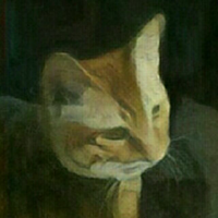 roslibpy 中文文档 - 知乎