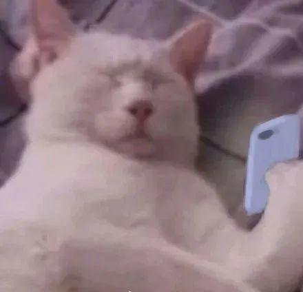 有哪些有趣的地铁老人看手机表情包？ - 知乎