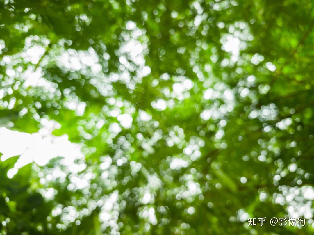 小米13Ultra手机影像测评：作为一台相机，ta表现如何？ - 知乎