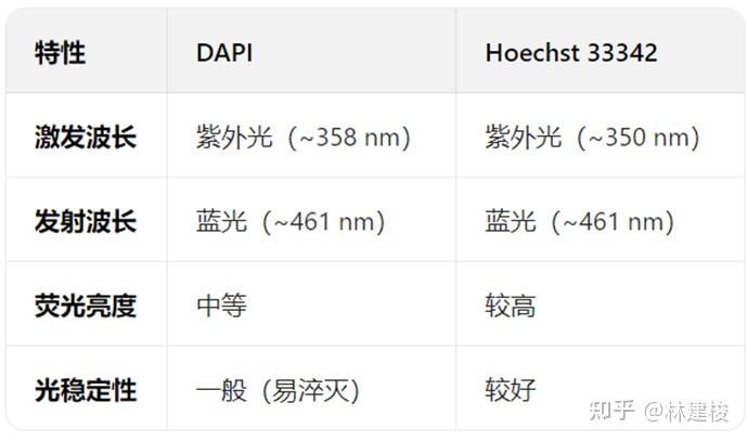 DAPI染料和Hoechst染料染色的区别？ - 知乎