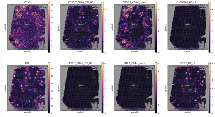 10X单细胞空间联合分析之再次解读cell2location - 知乎