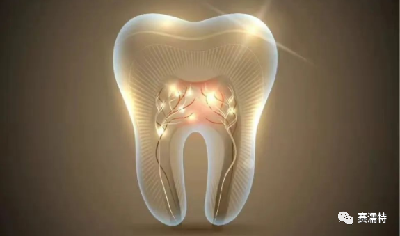 C-Root SP：助力国人舒适化根管充填！ - 知乎