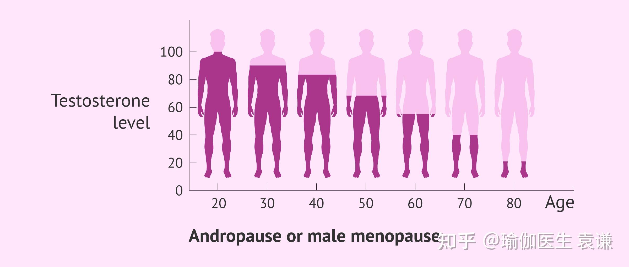 男性更年期：迟发性性腺功能减退症（LOH） - 知乎