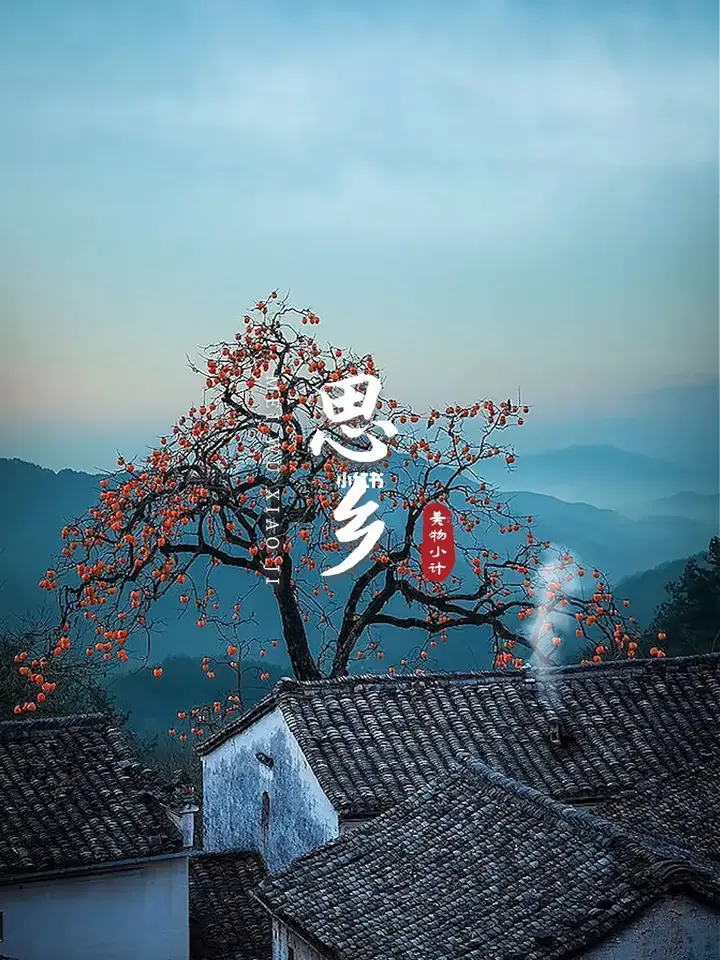 最美思乡诗词带你回家 知乎
