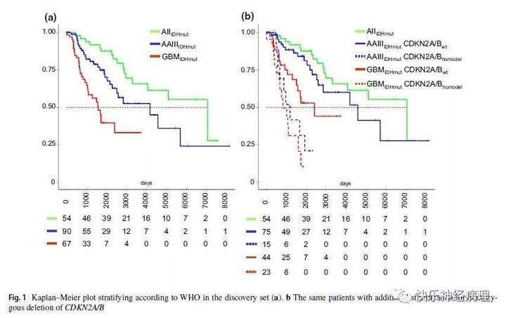 CDKN2A/2B拷贝数缺失肿瘤患者的特点、对免疫治疗的影响及靶向抑制剂 - 知乎
