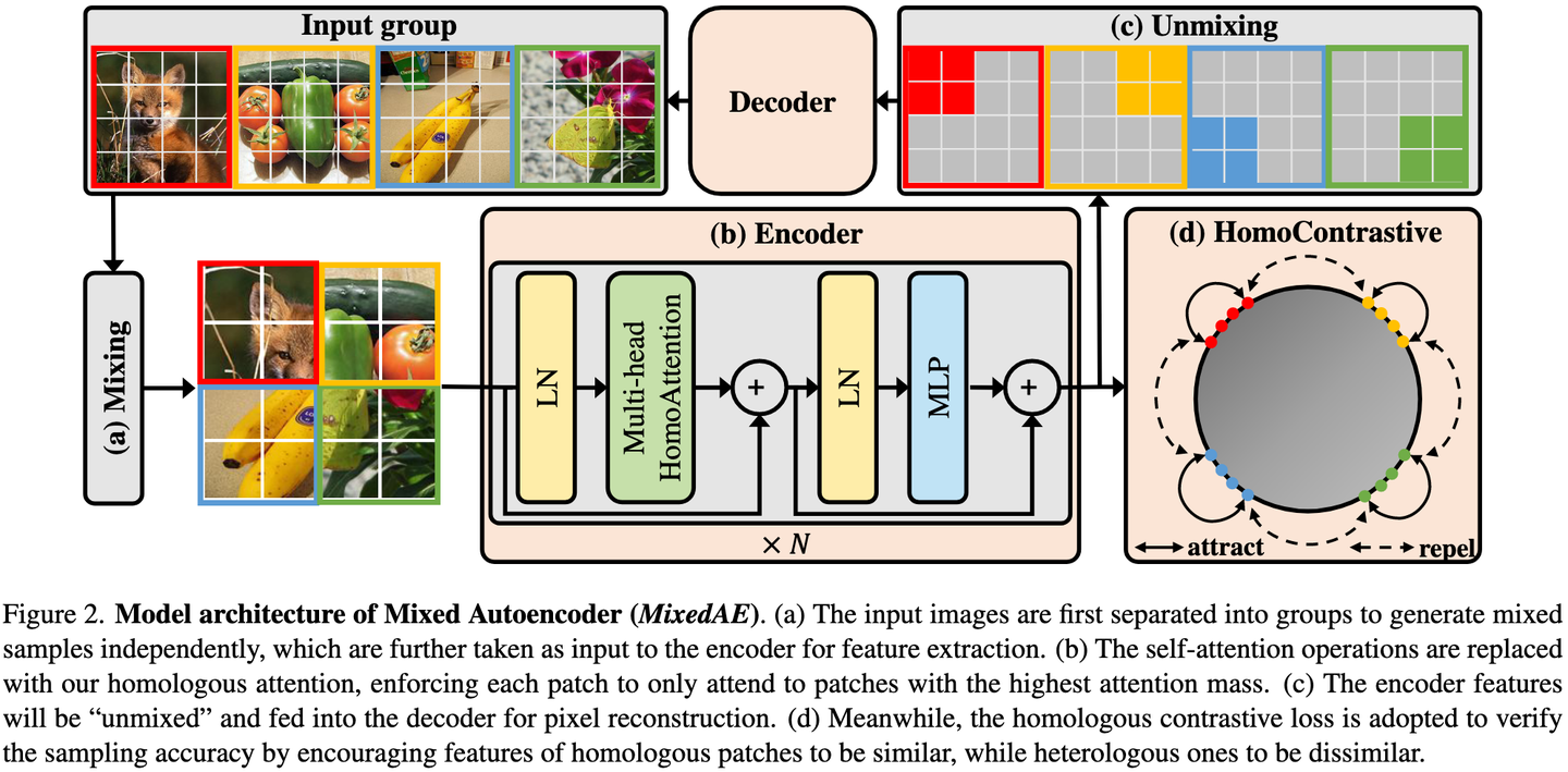 Masked Image Modeling中的Mix增强 - 知乎