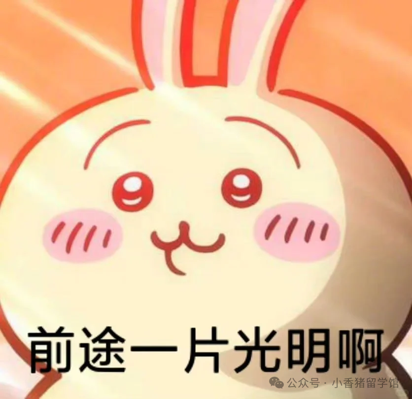 25fall英港新允许跨申的计算机专业汇总 - 知乎