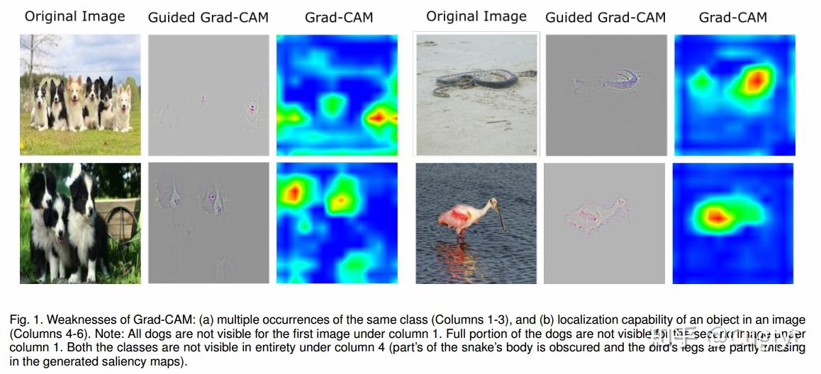 【论文翻译】Grad-CAM++，可视化卷积的升级 - 知乎