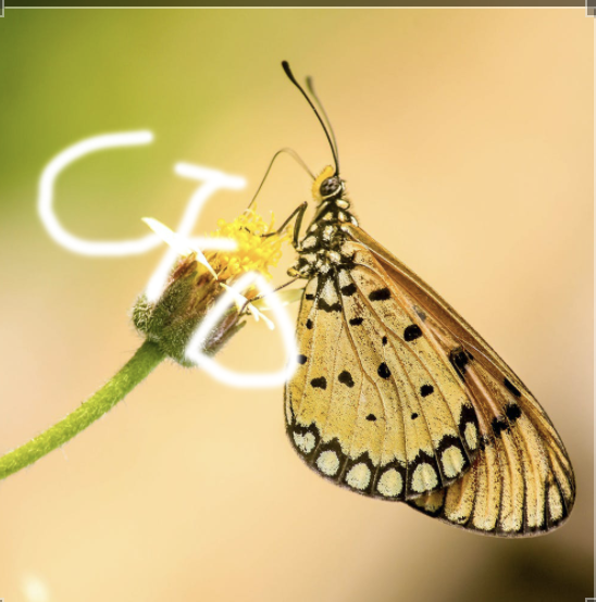 35岁+CFDer面临失业？突围用这几招！ - 知乎