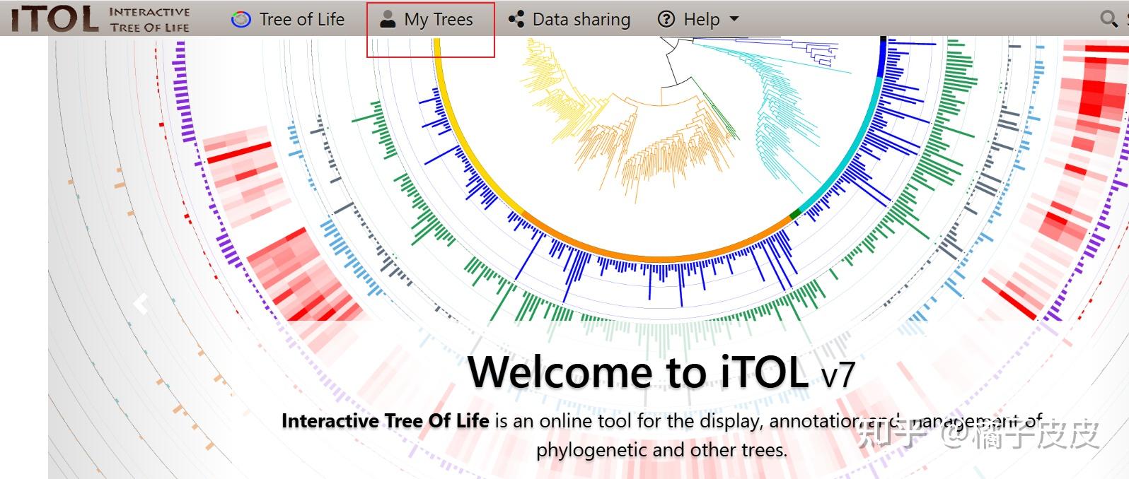 ITOL在线网站进行系统发育树美化 - 知乎