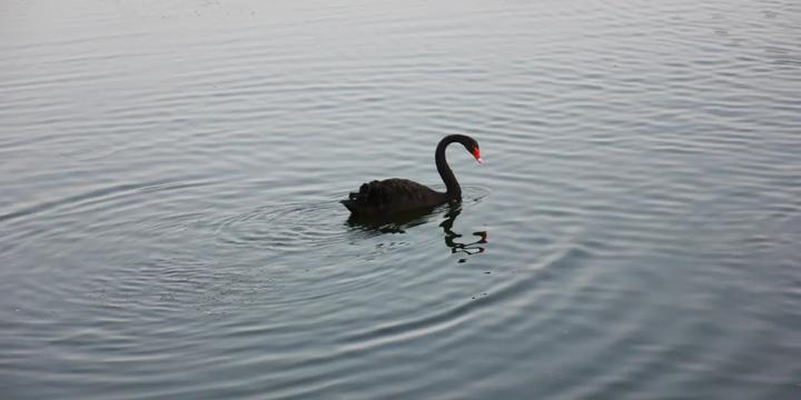 在 32 张 L40S/L20 上运行 DeepSeek-R1/V3 原版 FP8 模型 - 知乎