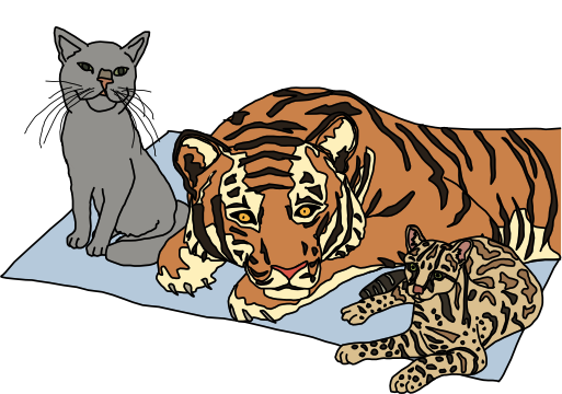 JS 编程入门：JavaScript For Cats - 知乎