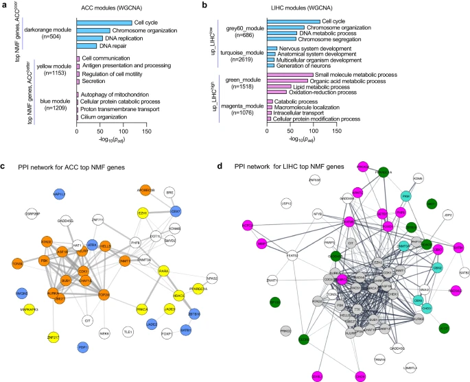 Commun Biol | 基于表观遗传因子表达的泛癌AI模型可准确预测多种癌症类型患者预后 - 知乎