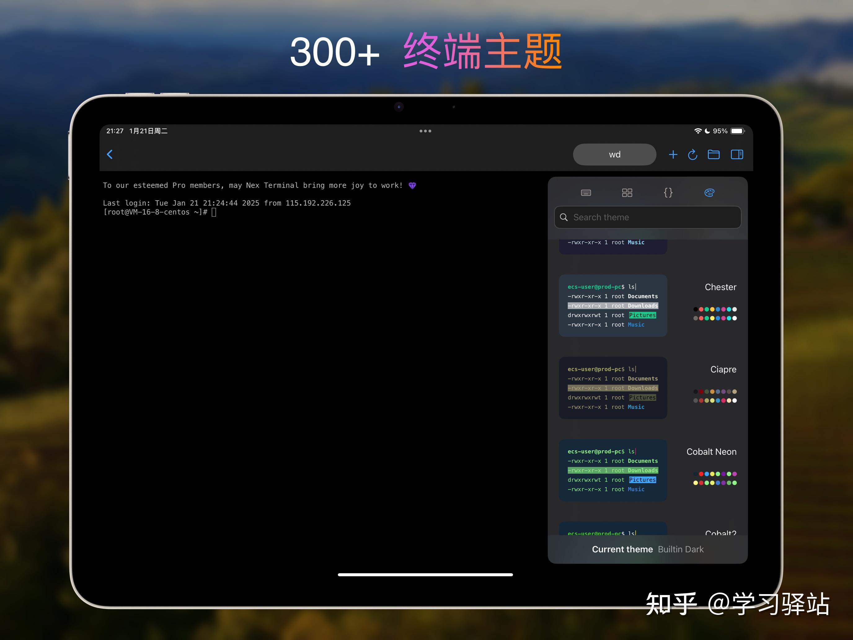 Termius 和 Nex Terminal 全面对比 - 知乎