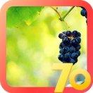 mmdetection模型转onnx和tensorrt实战 - 知乎