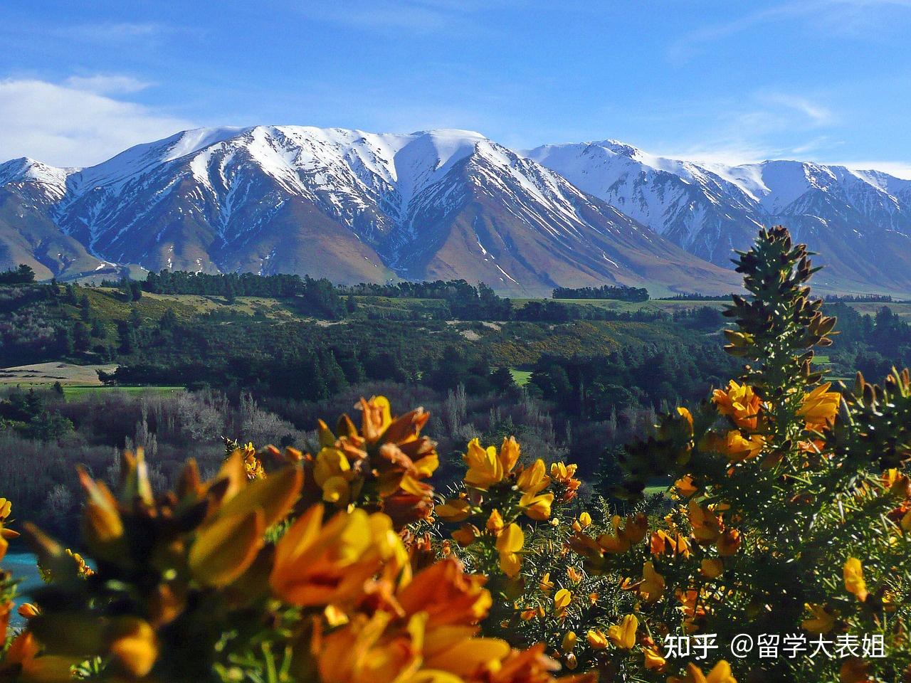 怎么备考OSSD课程的OSSLT考试？可以不考吗？ - 知乎