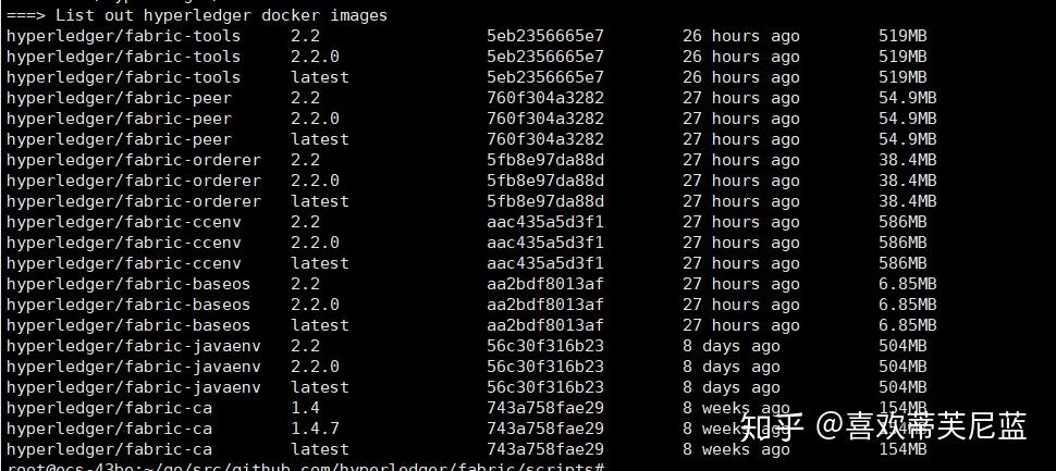 【hyperledger fabric 教程】1.ubuntu 安装fabric并运行起来 - 知乎
