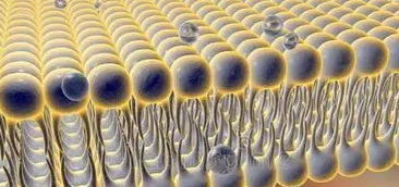 PE磷脂螯合剂-DOTA-PEG-DLPE ，DOTA-PEG-二月桂酰基磷脂酰乙醇胺 - 知乎