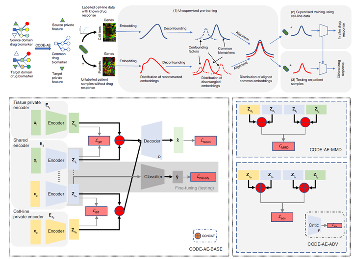 Nature Machine Intelligence | 深度学习预测药物特异性临床反应 - 知乎