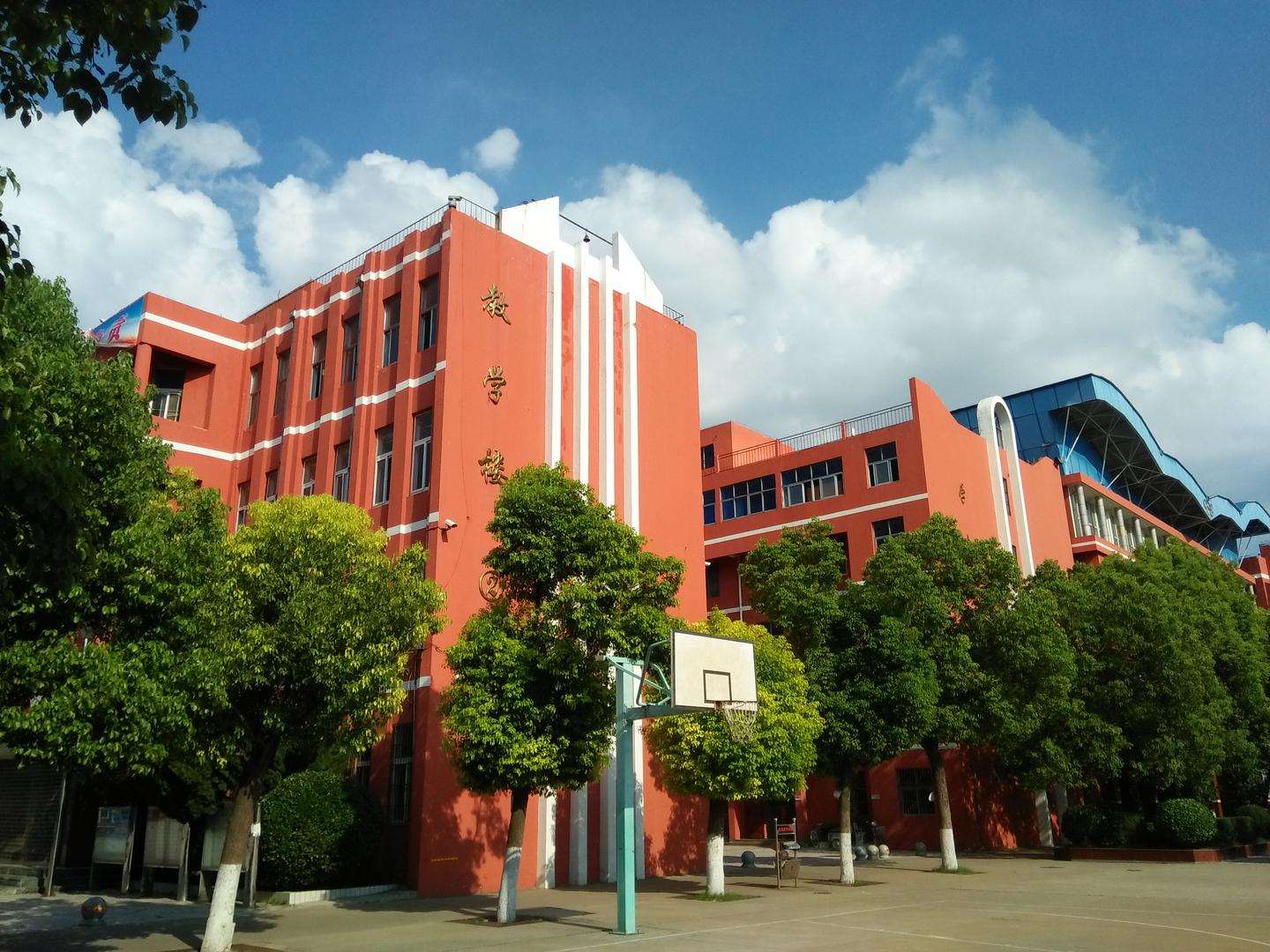 TeX Live 安装异常处理（window 11） - 知乎