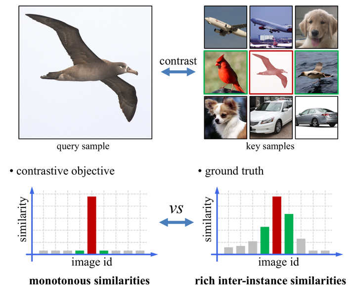 【前沿研究】跨图像相似度建模对比学习方法 (Inter-Instance Similarity Modeling for ...