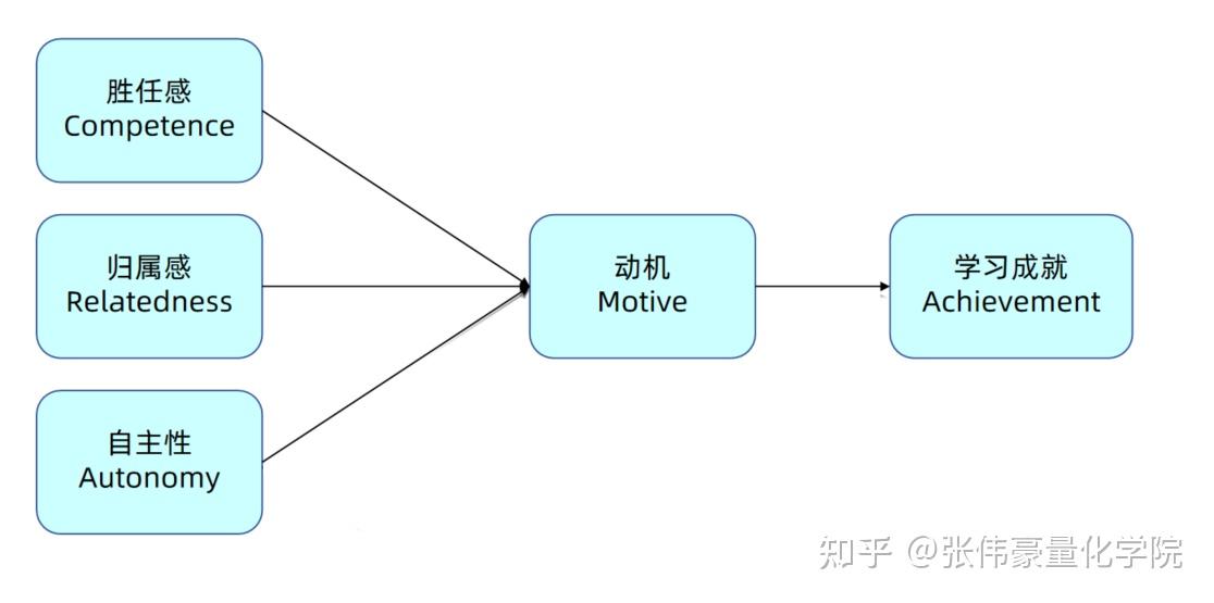 自我决定理论（Self－Determination Theory, SDT） - 知乎