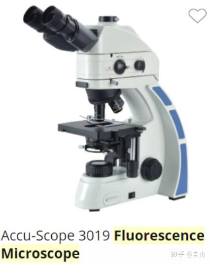 显微镜分类 - 知乎