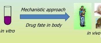 IVIVE (in vitro to in vivo extrapolation，体外-体内外推法) - 知乎