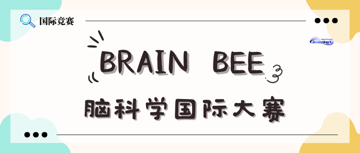 Brain Bee脑科学国际大赛 - 知乎