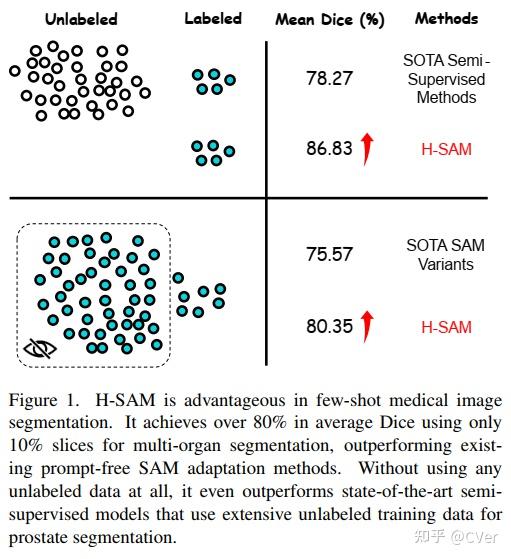 CVPR 2024 | 显著涨点！H-SAM：通过分层解码释放SAM在医学适应方面的潜力 - 知乎
