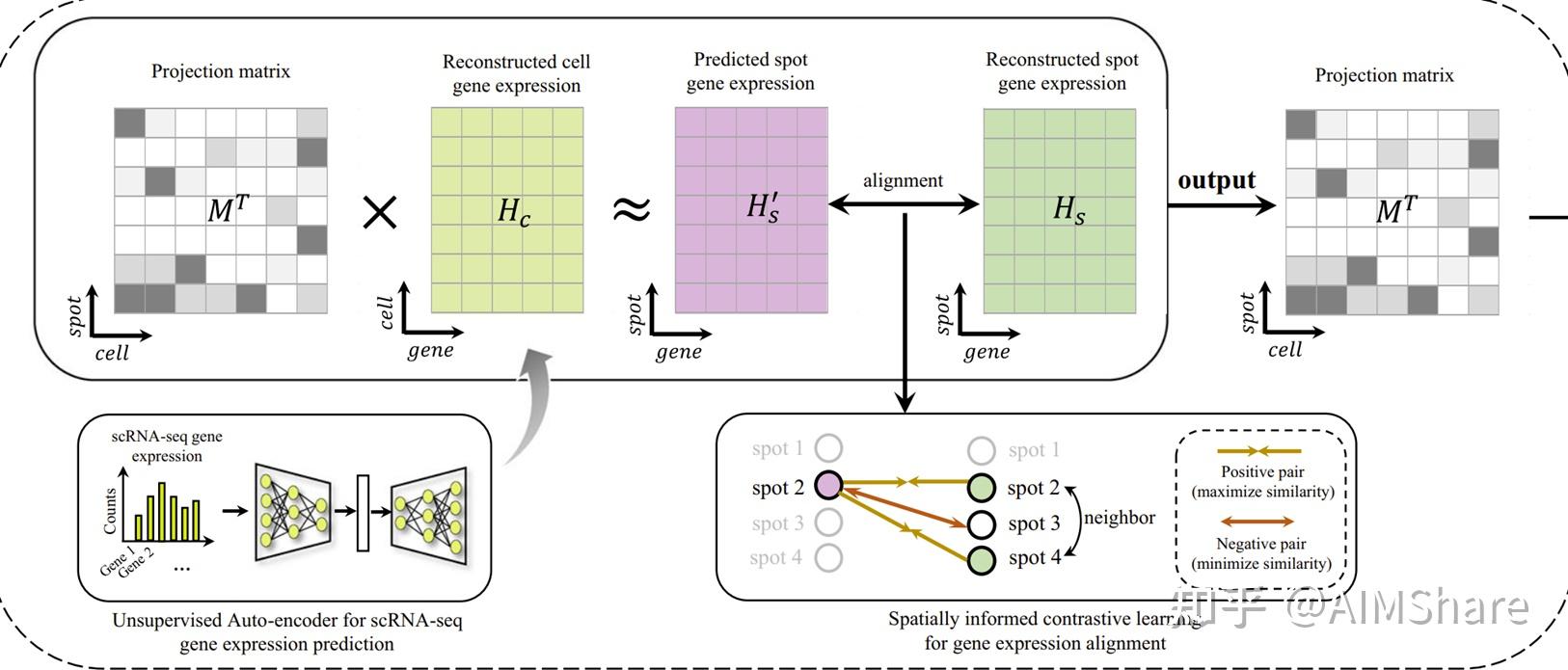通俗解析生物信息学中的多模态研究：单细胞多组学 - 知乎