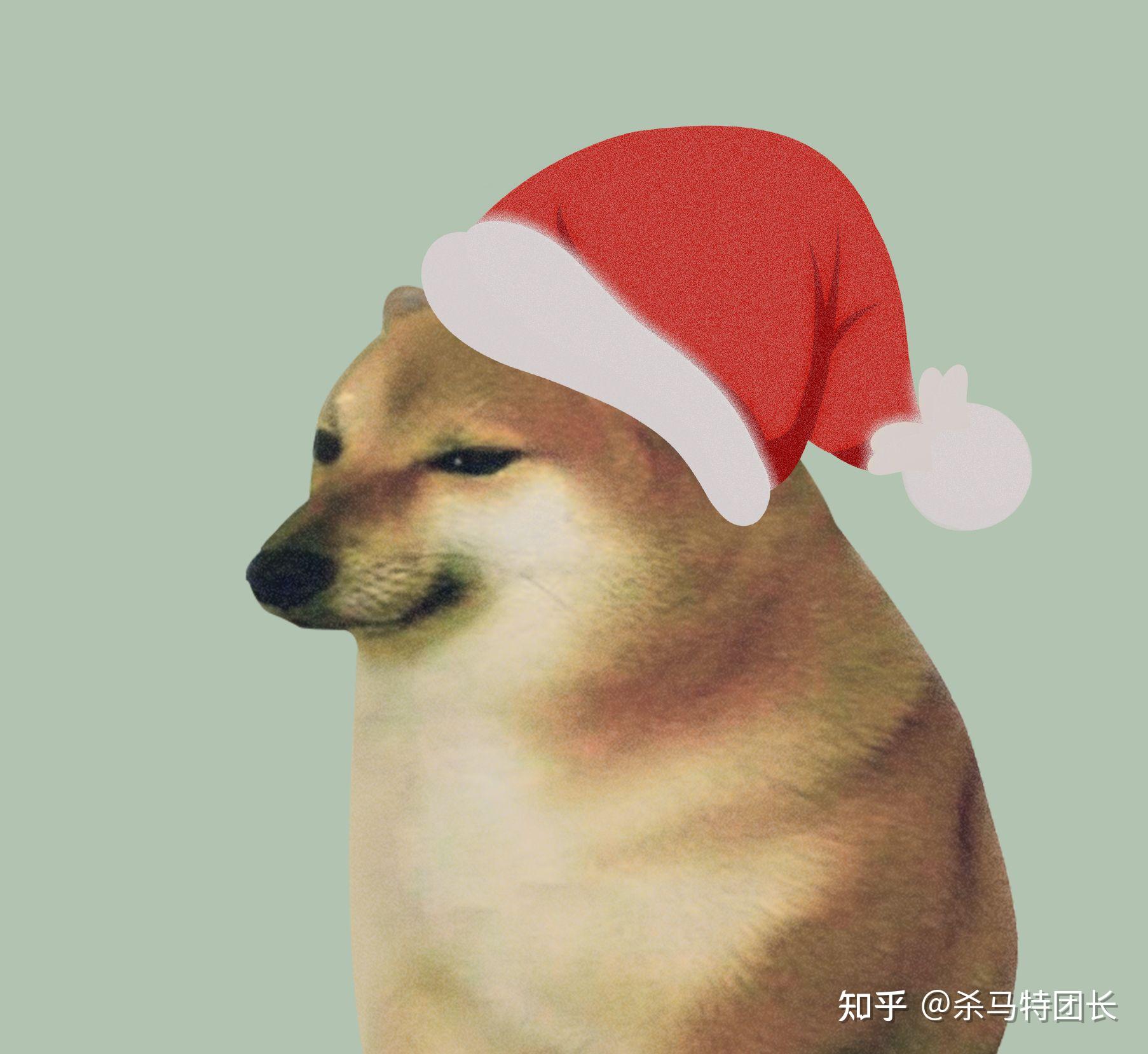 发点cheems的表情包 - 知乎