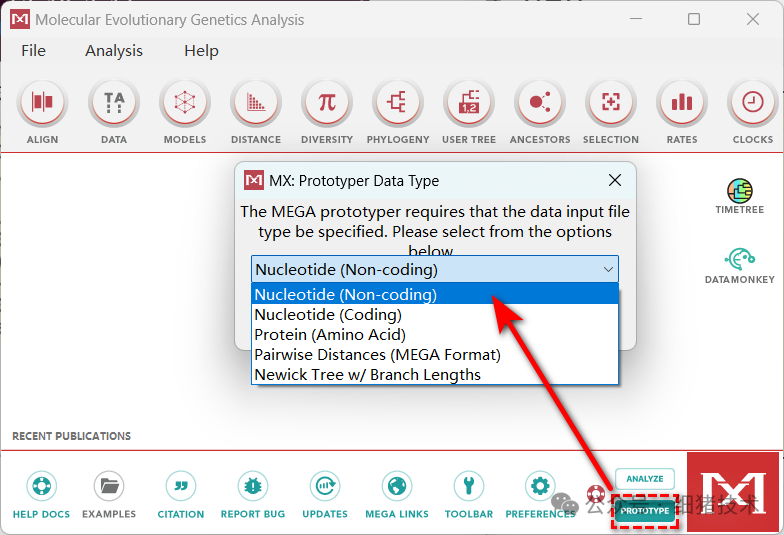 MEGA-CC程序使用方法 - 知乎
