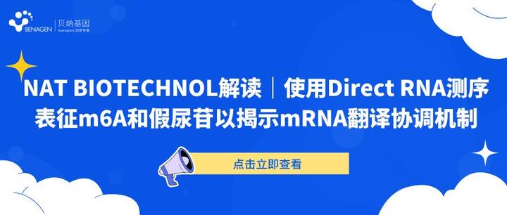 NAT BIOTECHNOL解读｜使用Direct RNA测序表征m6A和假尿苷以揭示mRNA翻译协调机制 - 知乎