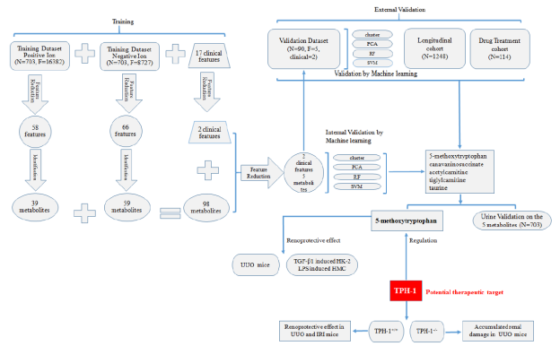 利用代谢组学进行CKD早期诊断标志物筛选 - 知乎